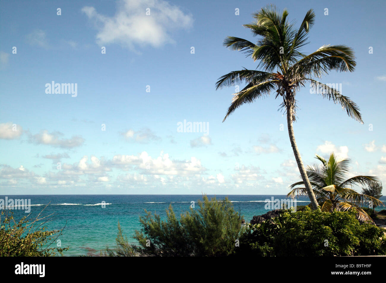 Shot at John Smith's Bay (Smith's Parish) on the south coast of Bermuda ...
