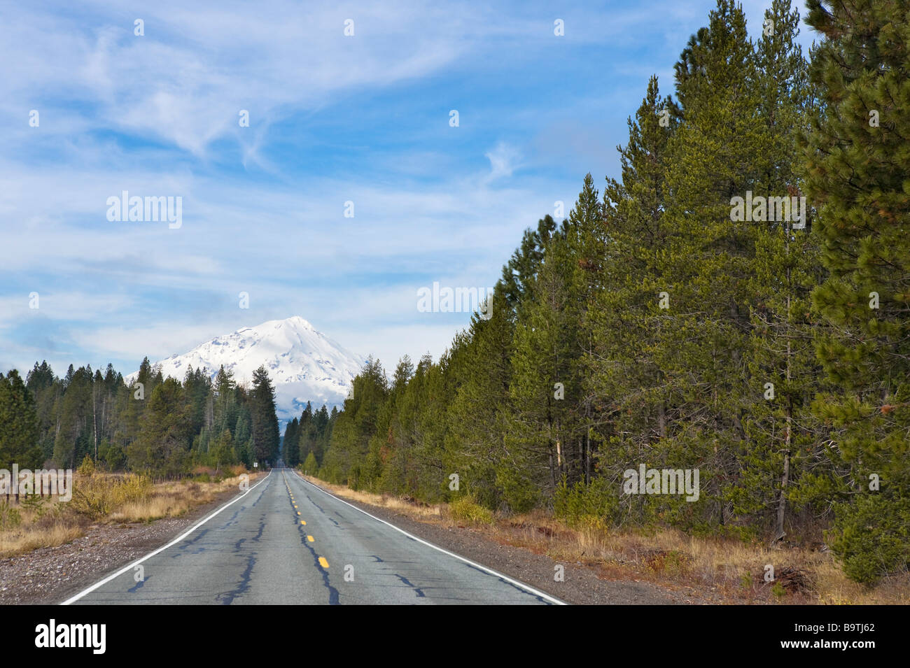 Mount Shasta from SR 89 (CA), Northern California, USA Stock Photo - Alamy
