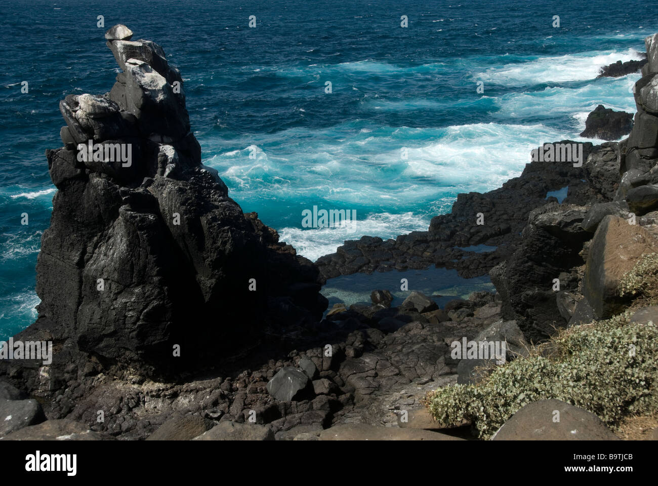 Cliff in Punta Suárez , Hood Island , Isla Española , Galapagos ...