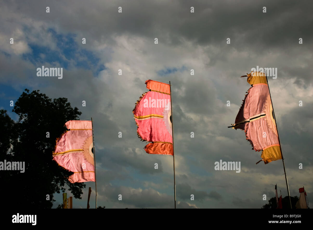 Flags on display at Lloyd Park Croydon Surrey Stock Photo - Alamy