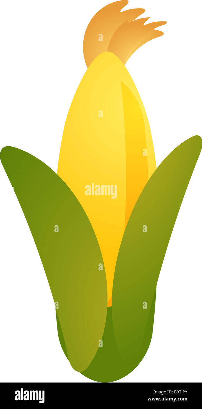 vegetable icon chubby squarish style illustration Stock Photo - Alamy