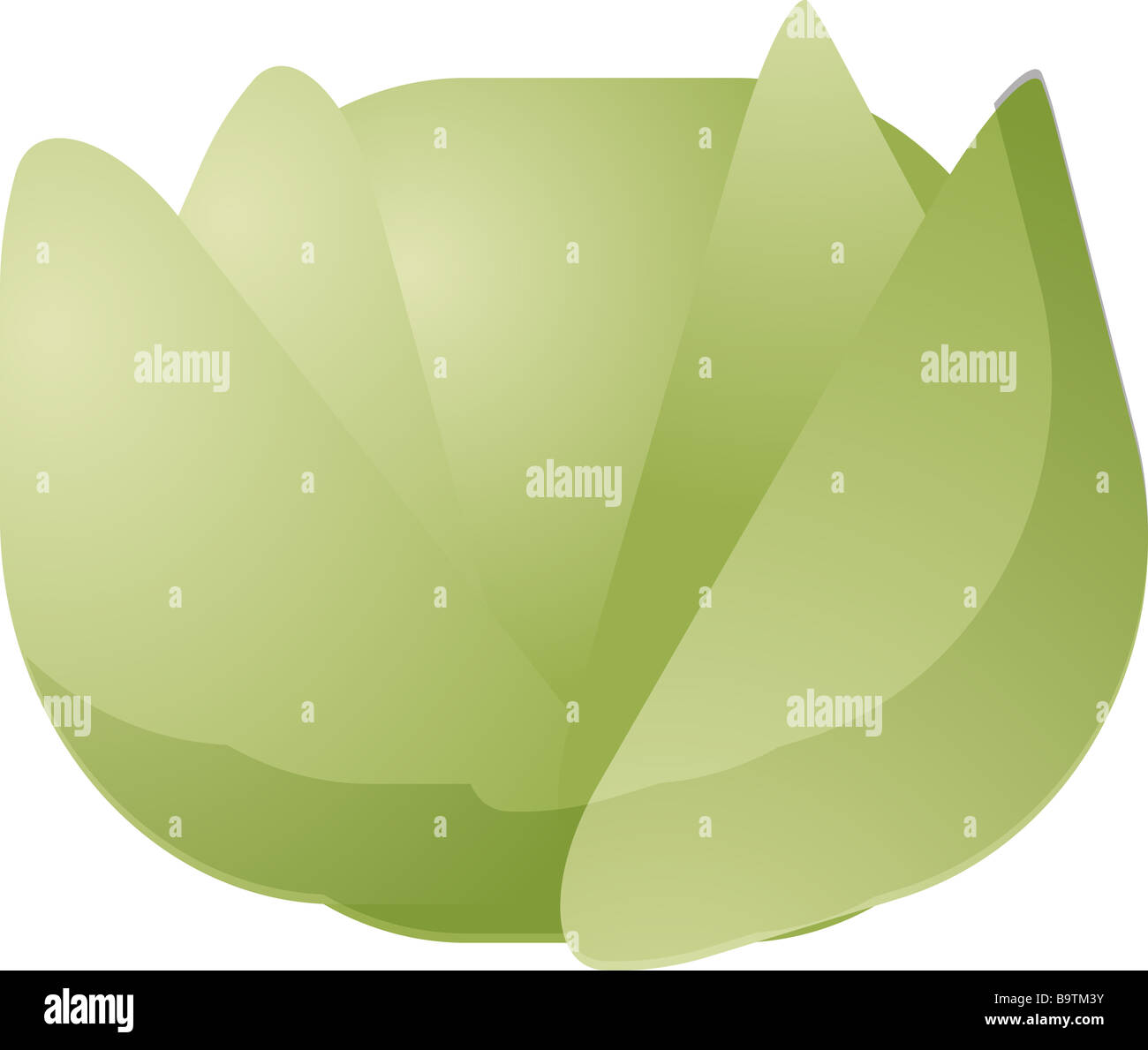 vegetable icon chubby squarish style illustration Stock Photo - Alamy
