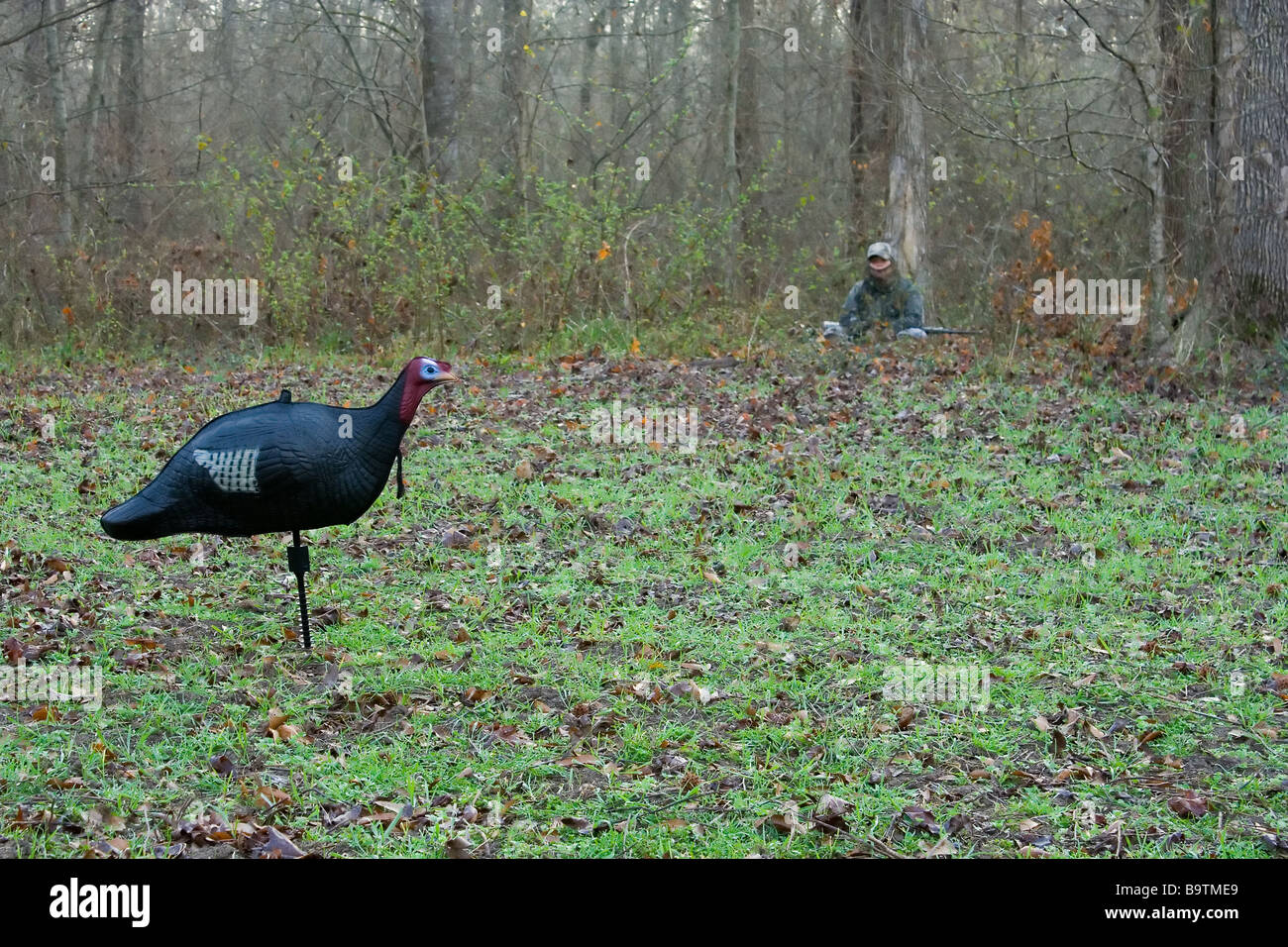 Fake turkey hi-res stock photography and images - Alamy