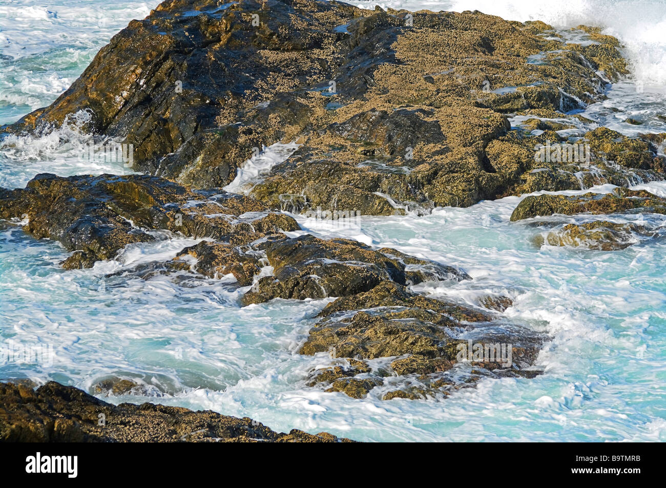 great image of ocean waves on the rocks Stock Photo - Alamy