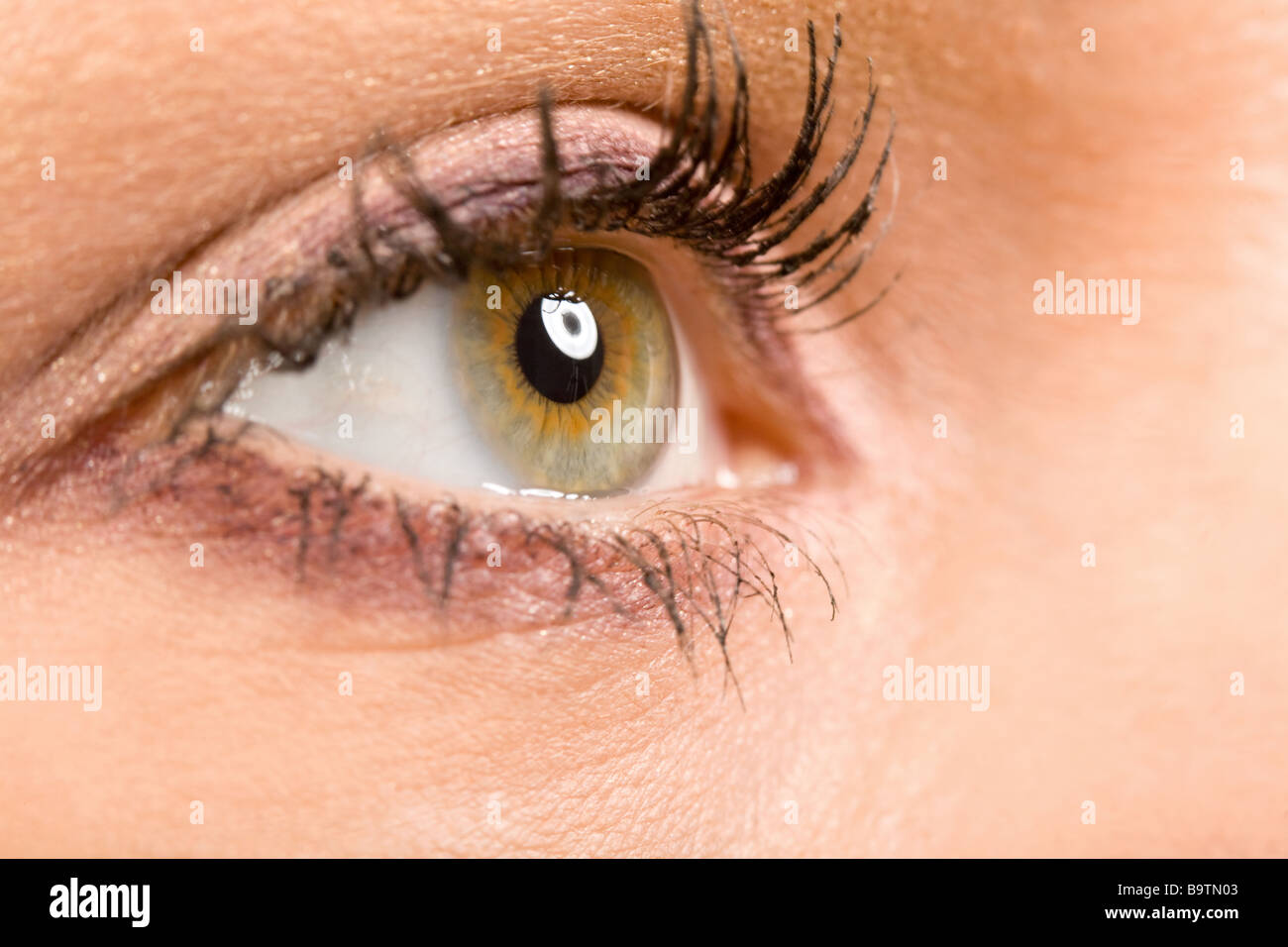 female wide open eye with long eyelashes macro Stock Photo - Alamy