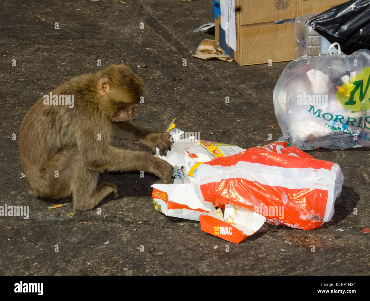Living on rubbish hi-res stock photography and images - Alamy