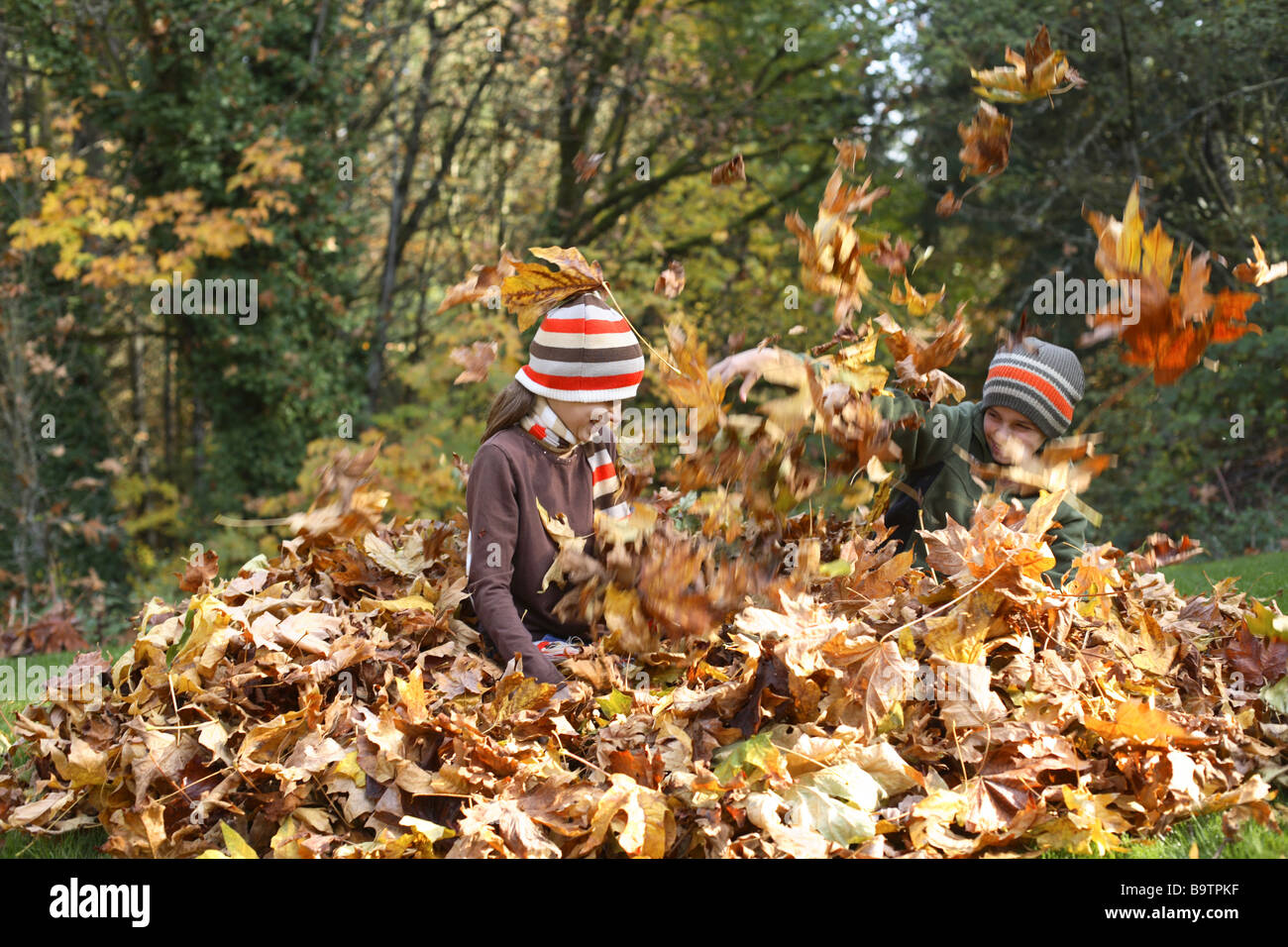 Children playing in Fall leaves Stock Photo - Alamy
