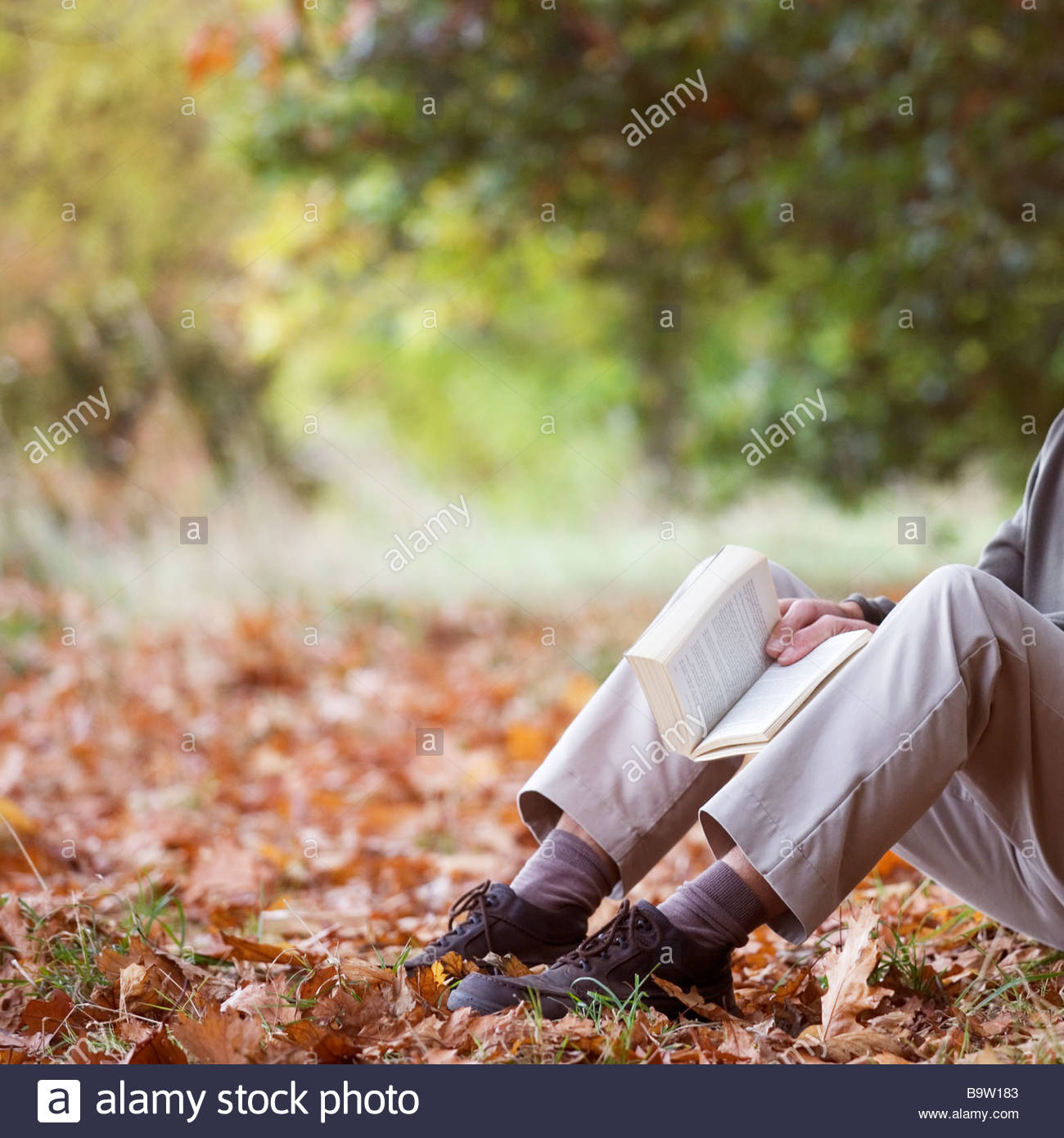 Old Man Reading A Book Stock Photos & Old Man Reading A Book Stock ...