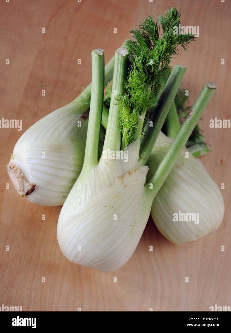 Fennel hi-res stock photography and images - Alamy