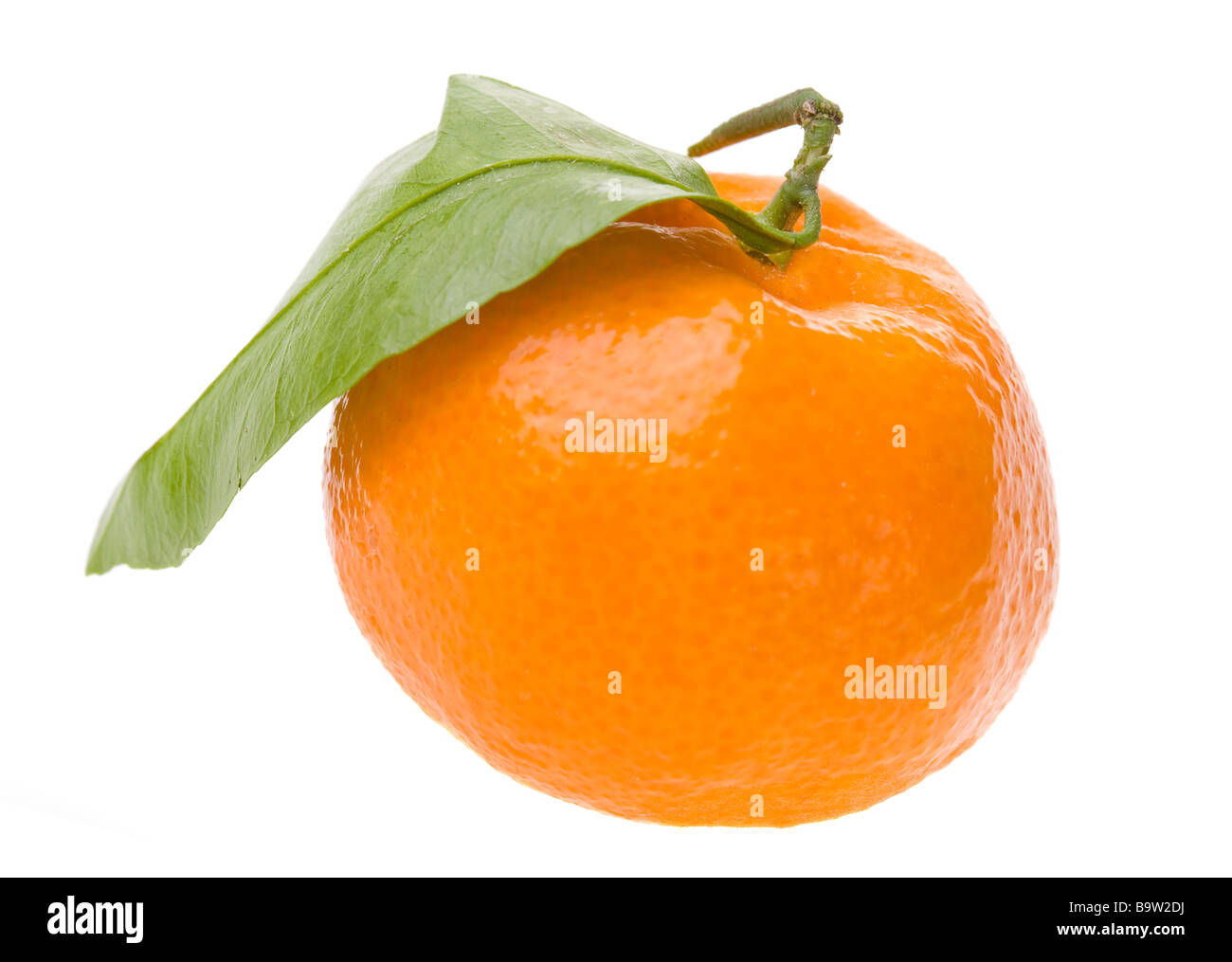 single tangerine macro isolated on white background Stock Photo - Alamy