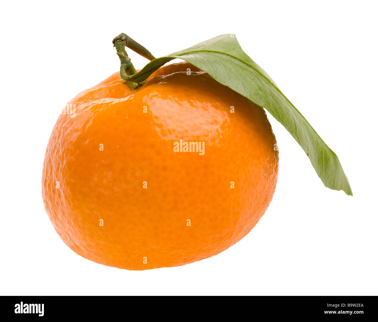 single tangerine macro isolated on white background Stock Photo - Alamy