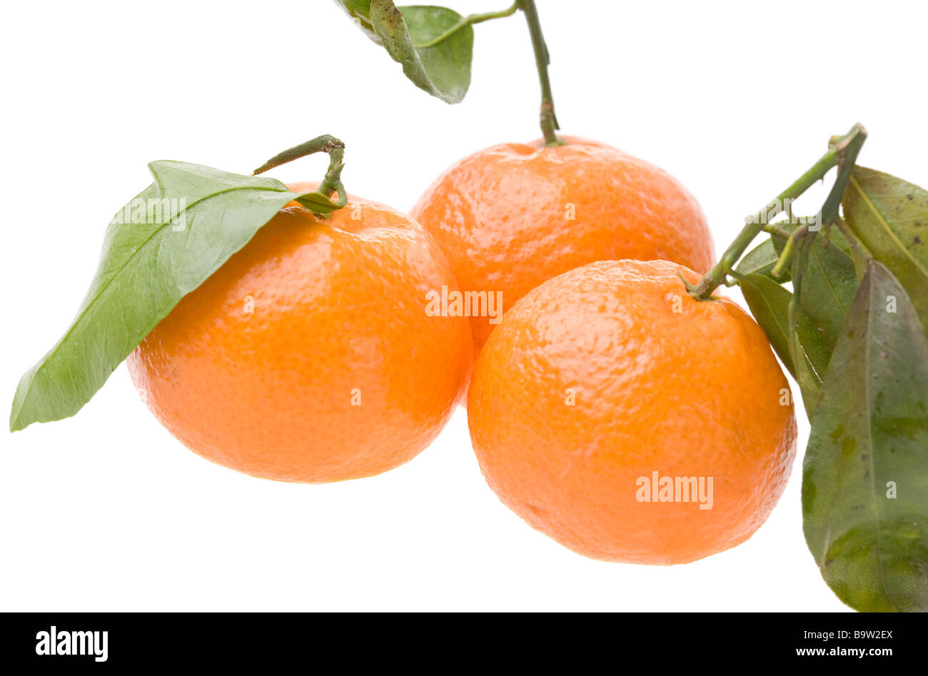 three tangerines macro isolated on white background Stock Photo - Alamy