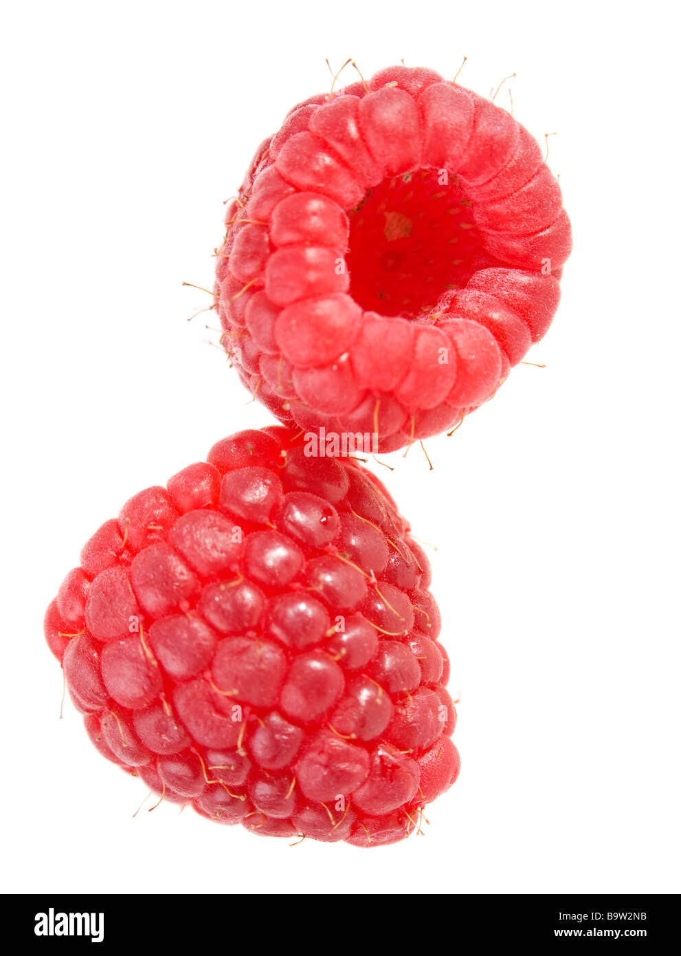 two large raspberry isolated on white background Stock Photo - Alamy