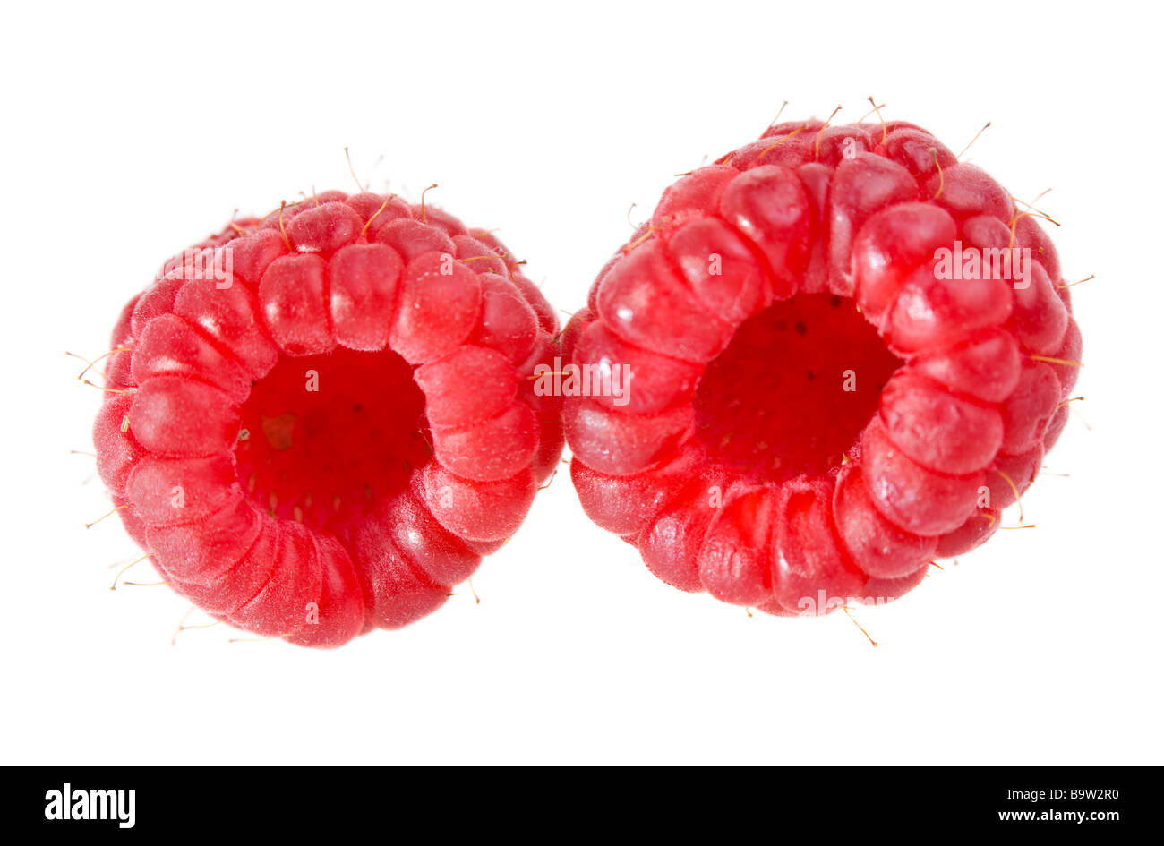 two large raspberry isolated on white background Stock Photo - Alamy