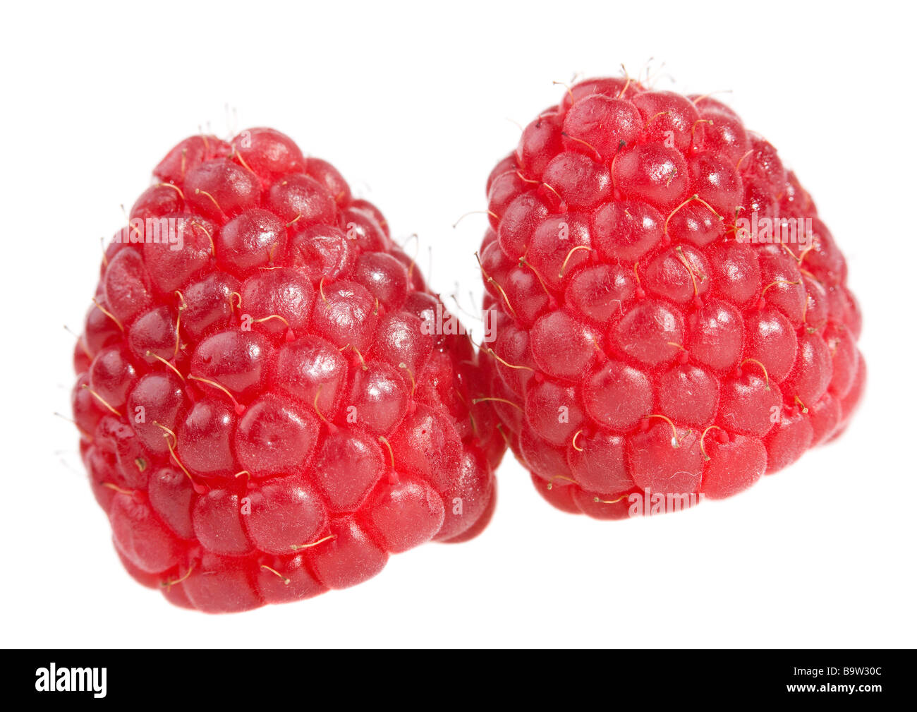 two large raspberry isolated on white background Stock Photo - Alamy