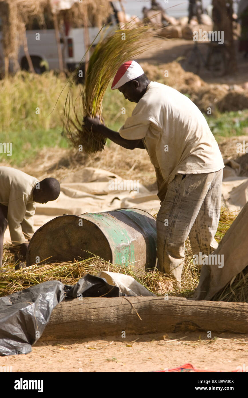 Traditional man in niger hi-res stock photography and images - Alamy
