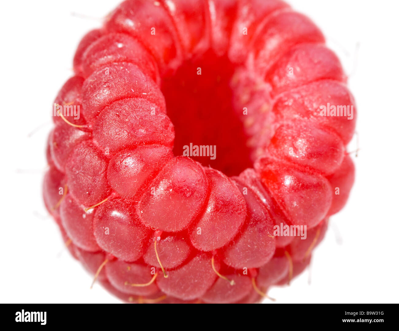 single large raspberry macro isolated on white background Stock Photo ...