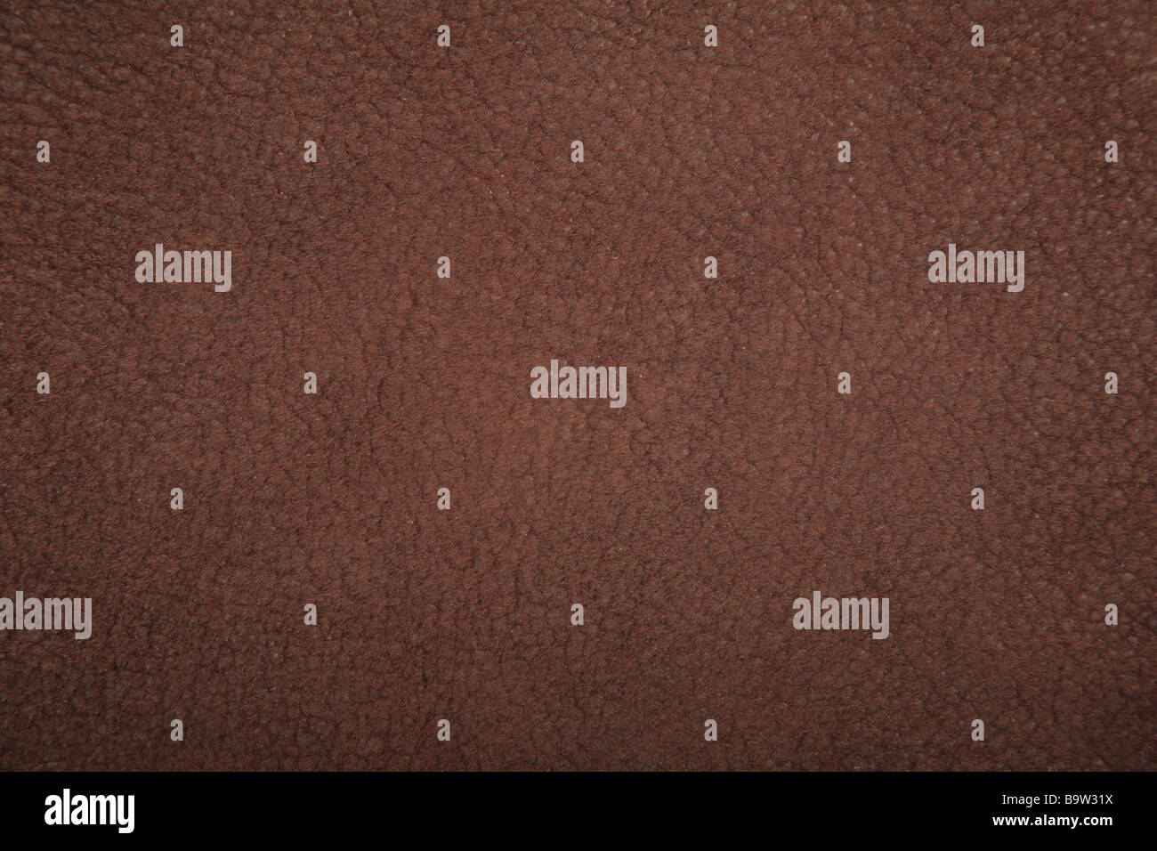 Chamois Leather Texture