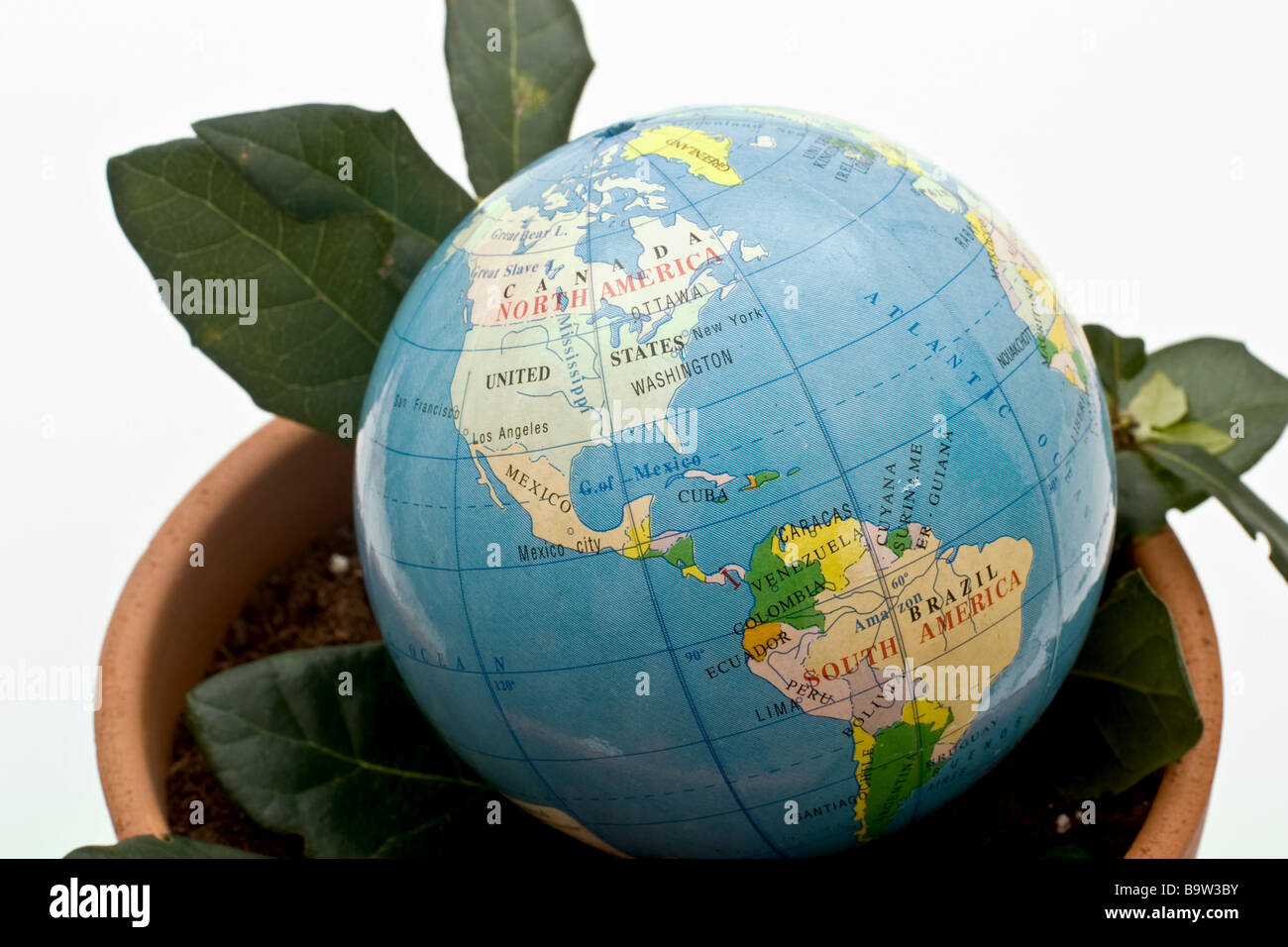 Globe in a flower pot surrounded by green leaves Stock Photo - Alamy