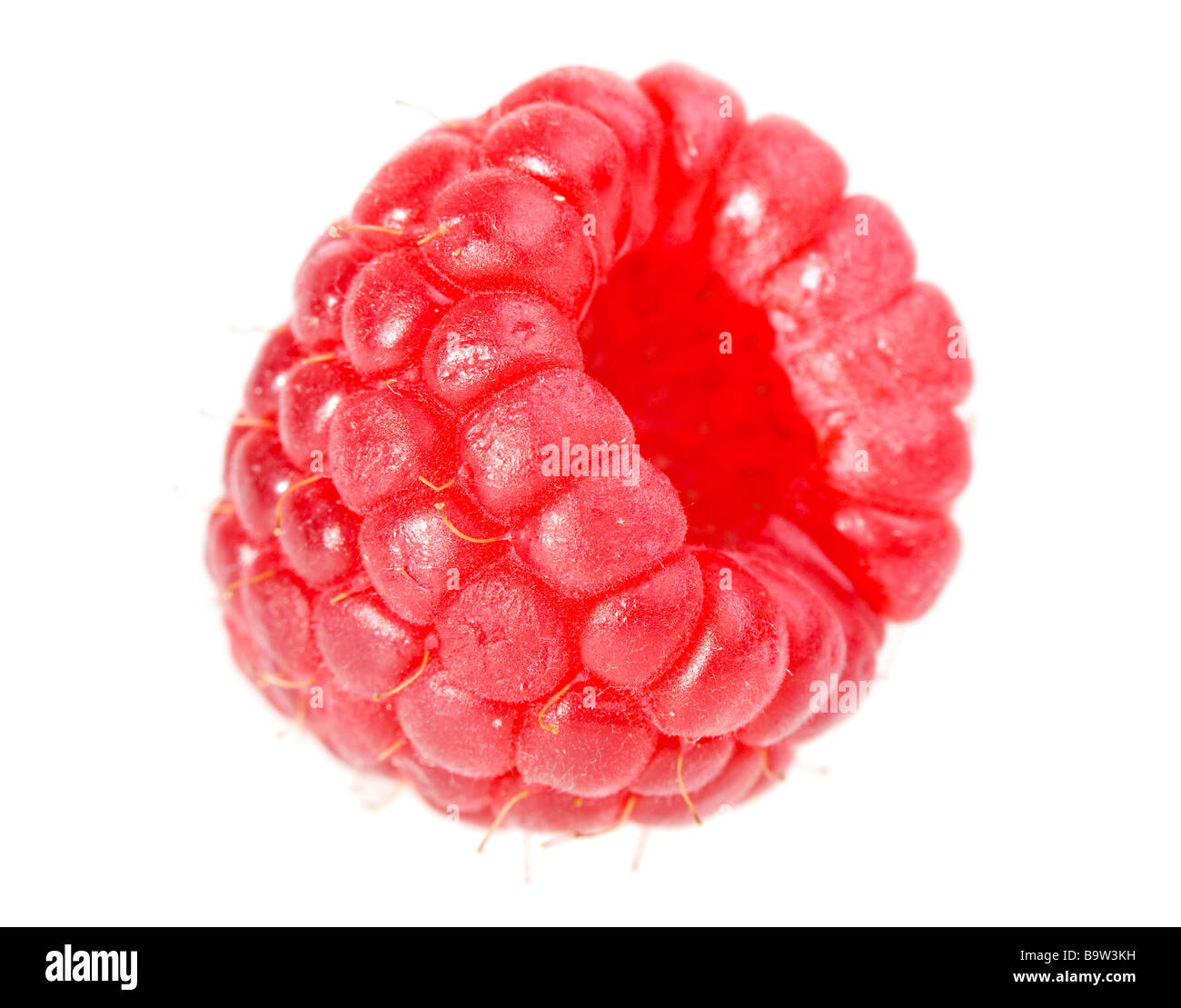 single large raspberry macro isolated on white background Stock Photo ...