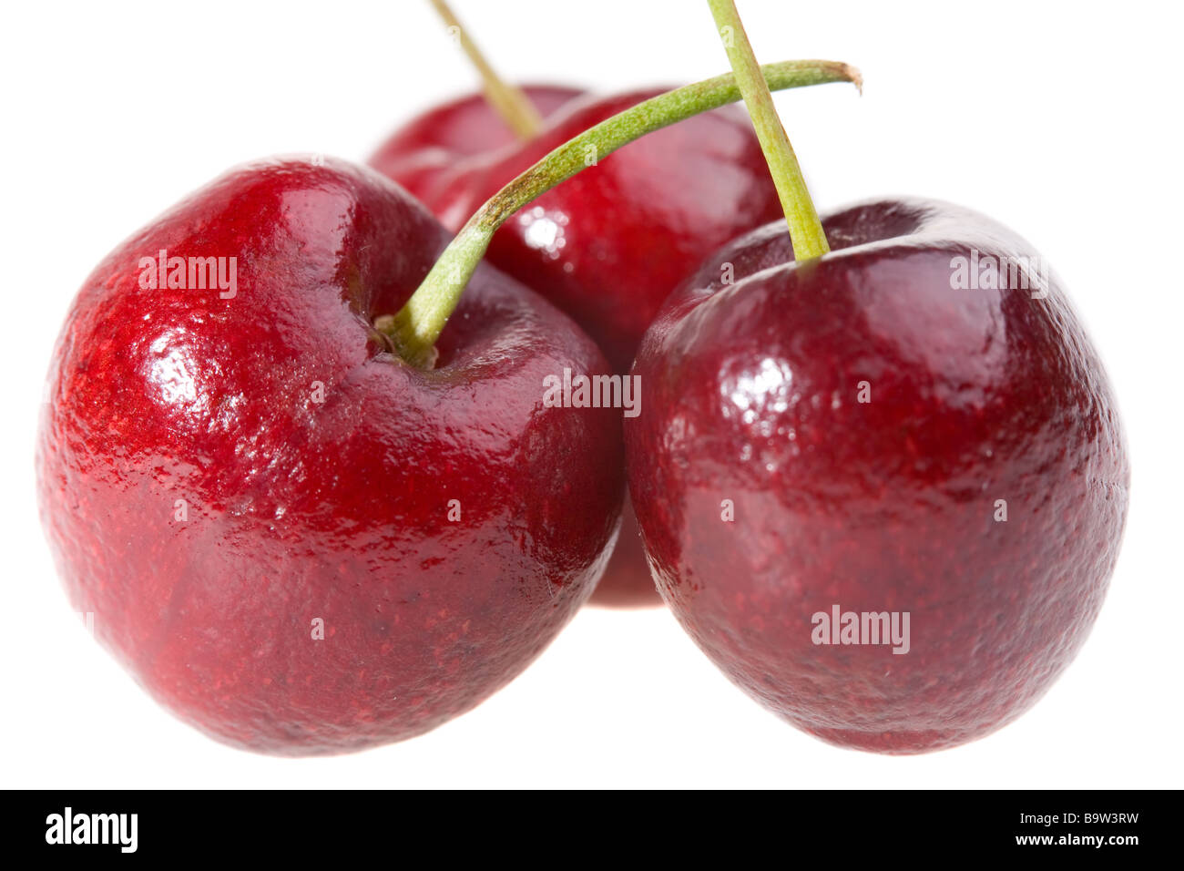 three cherries isolated isolated on white macro Stock Photo - Alamy
