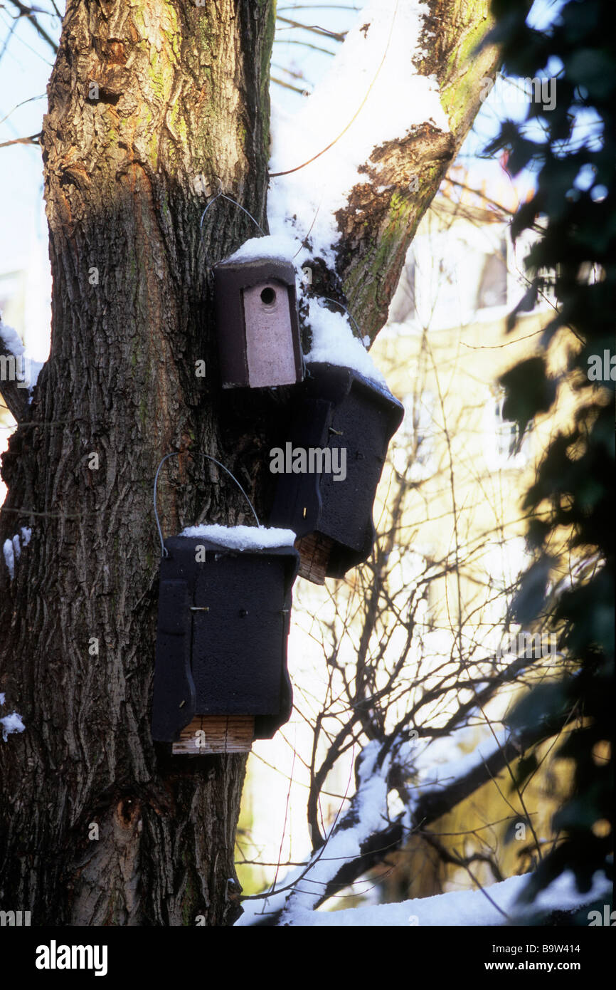 Bat boxes hi-res stock photography and images - Alamy