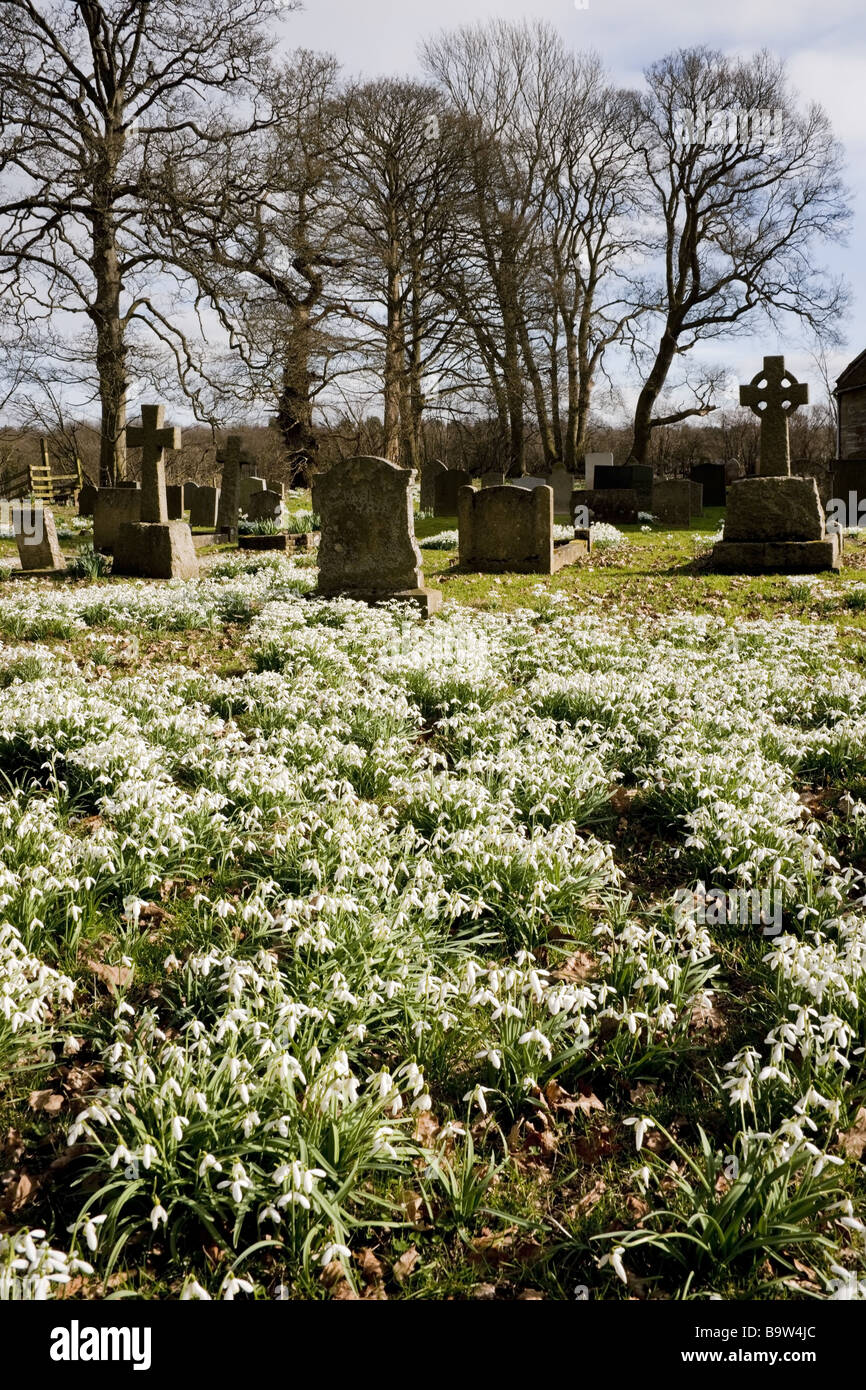 Baddesley Clinton estate churchyard Warwickshire View from the Heart of ...