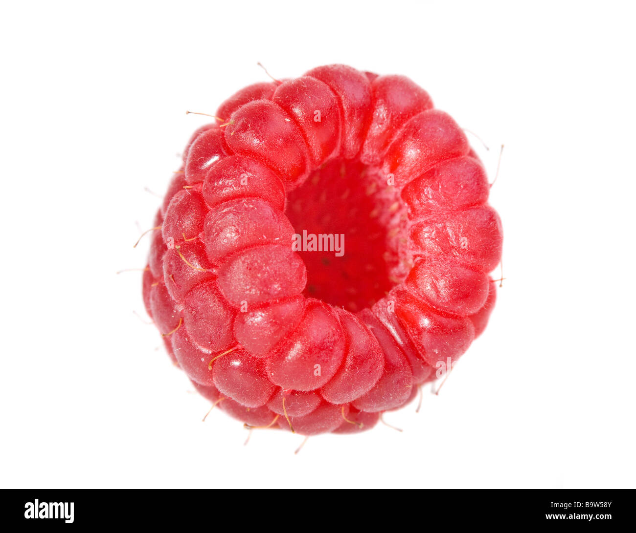 single large raspberry macro isolated on white background Stock Photo ...