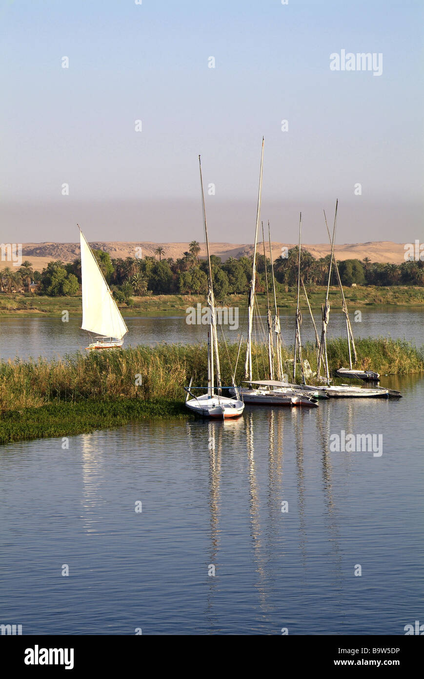 Reed boat sail nile hi-res stock photography and images - Alamy