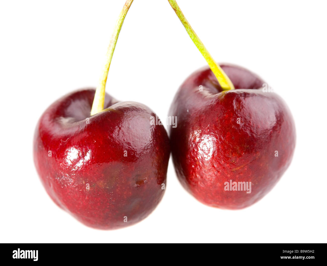 two cherry isolated isolated on white macro Stock Photo - Alamy