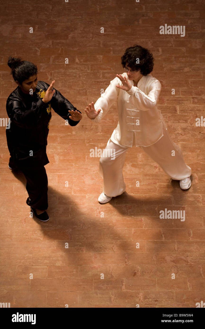 Two women practise the Chinese martial art Tai Chi in Bangalore, India ...