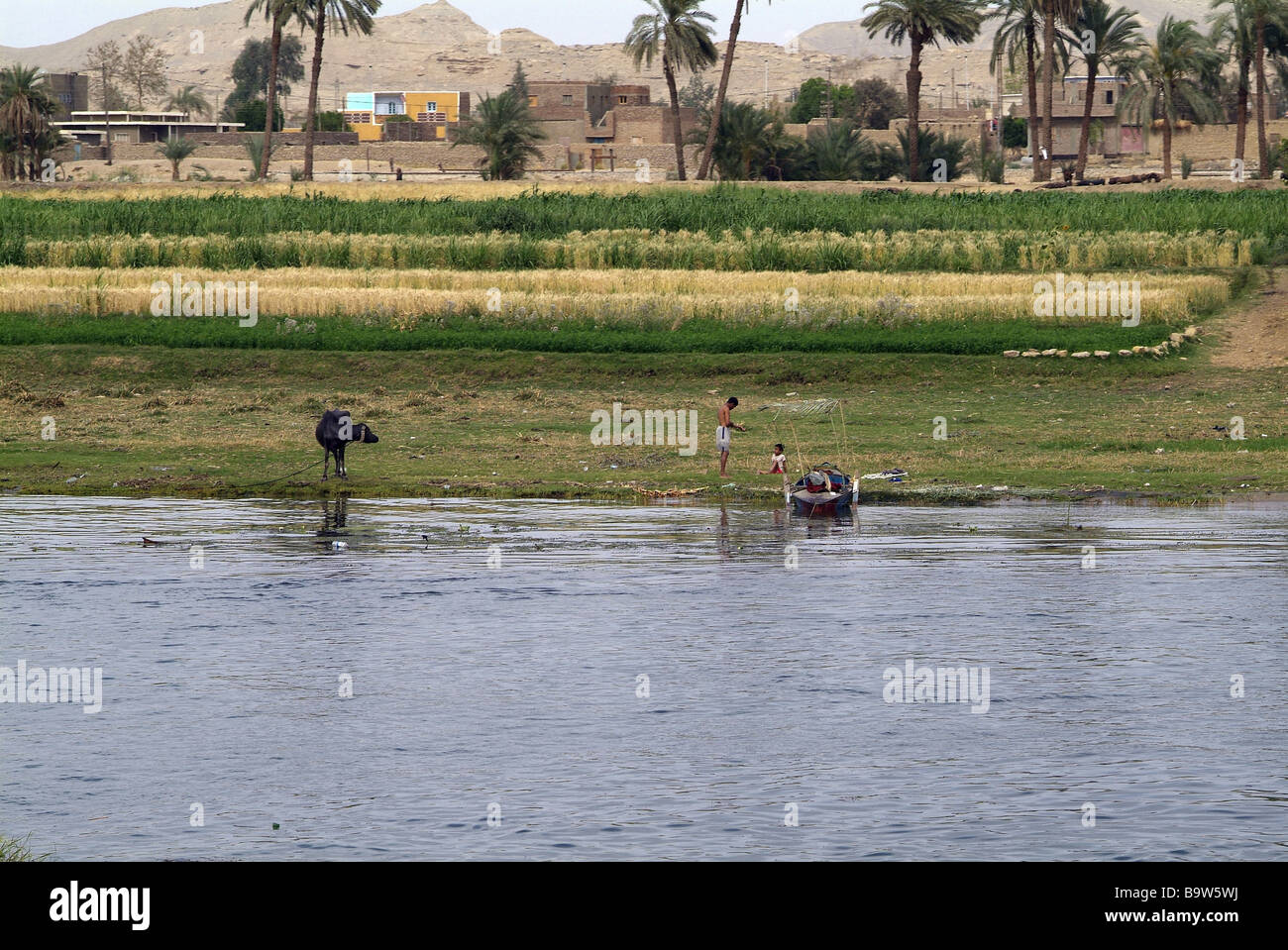 Nile river fertile egypt hi-res stock photography and images - Alamy