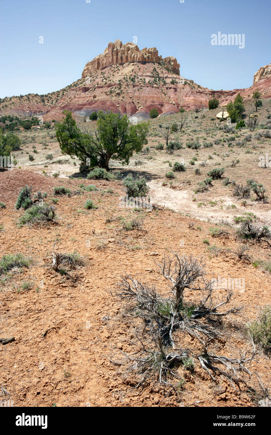 Capitol Reef National Park Utah USA Stock Photo - Alamy