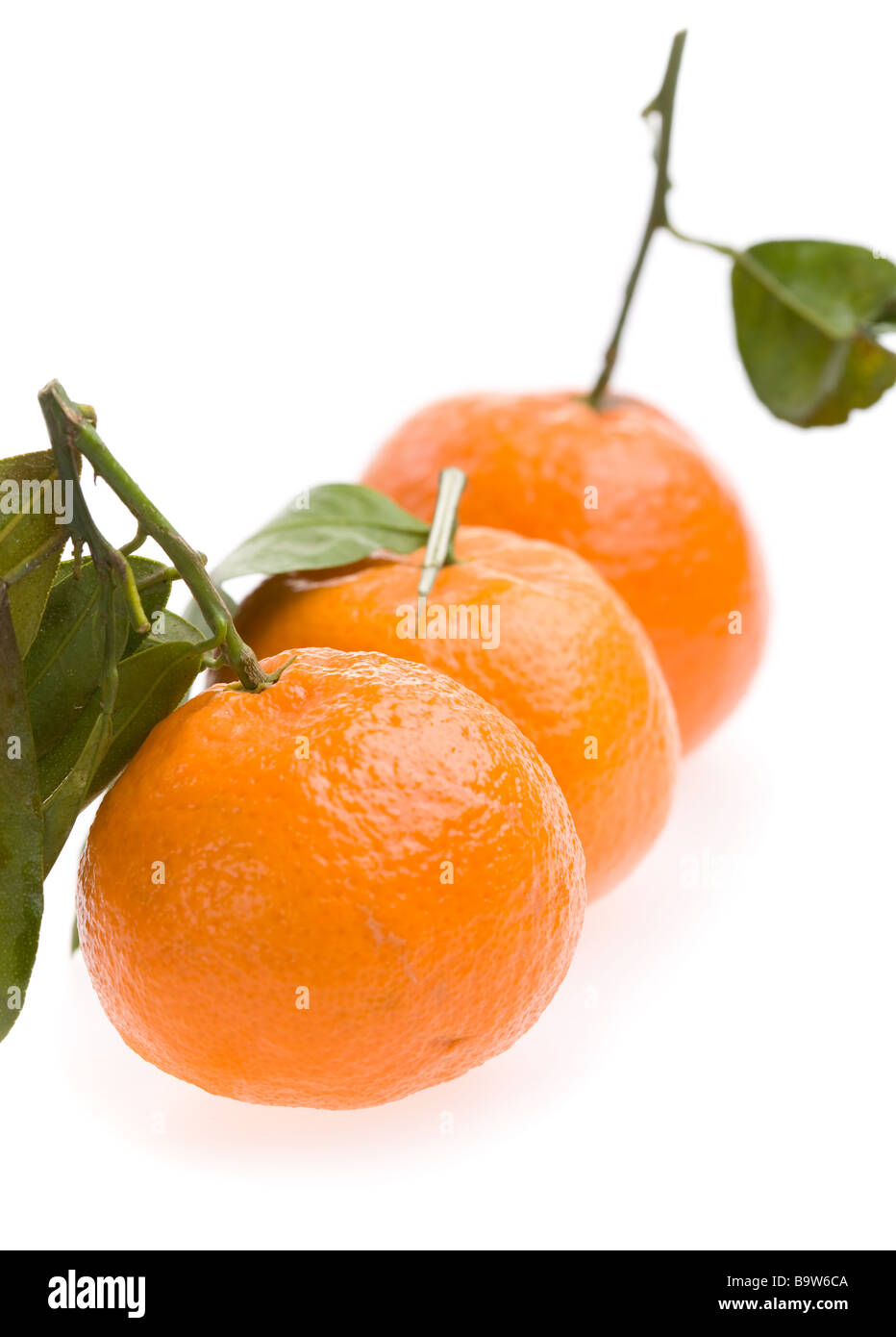 three tangerines macro isolated on white background Stock Photo - Alamy