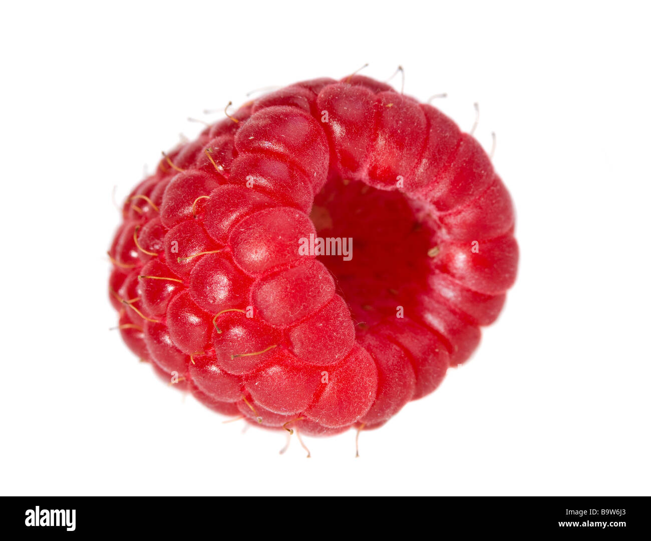 single large raspberry macro isolated on white background Stock Photo ...
