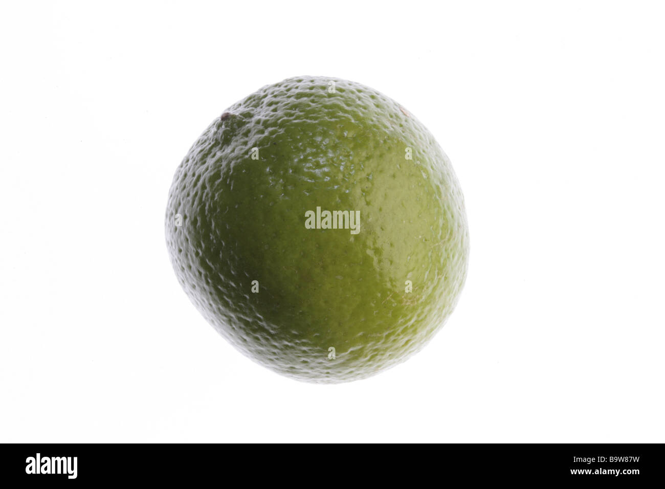 Aurantifolia Cut Out Stock Images & Pictures - Alamy