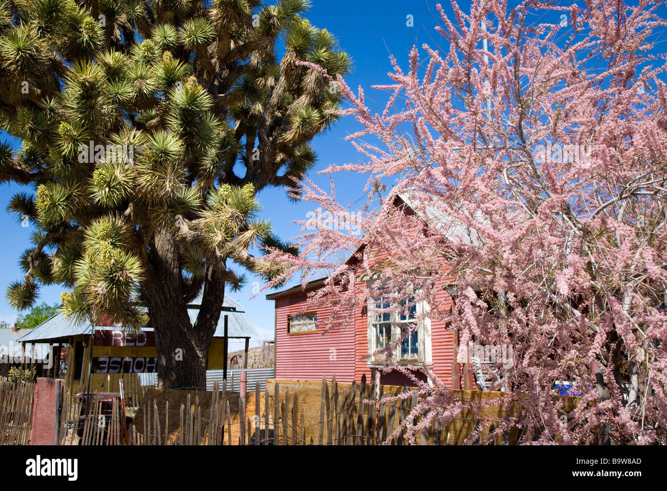 Ramshackle buildings in the Wild West Mining Town of Chloride, Arizona ...