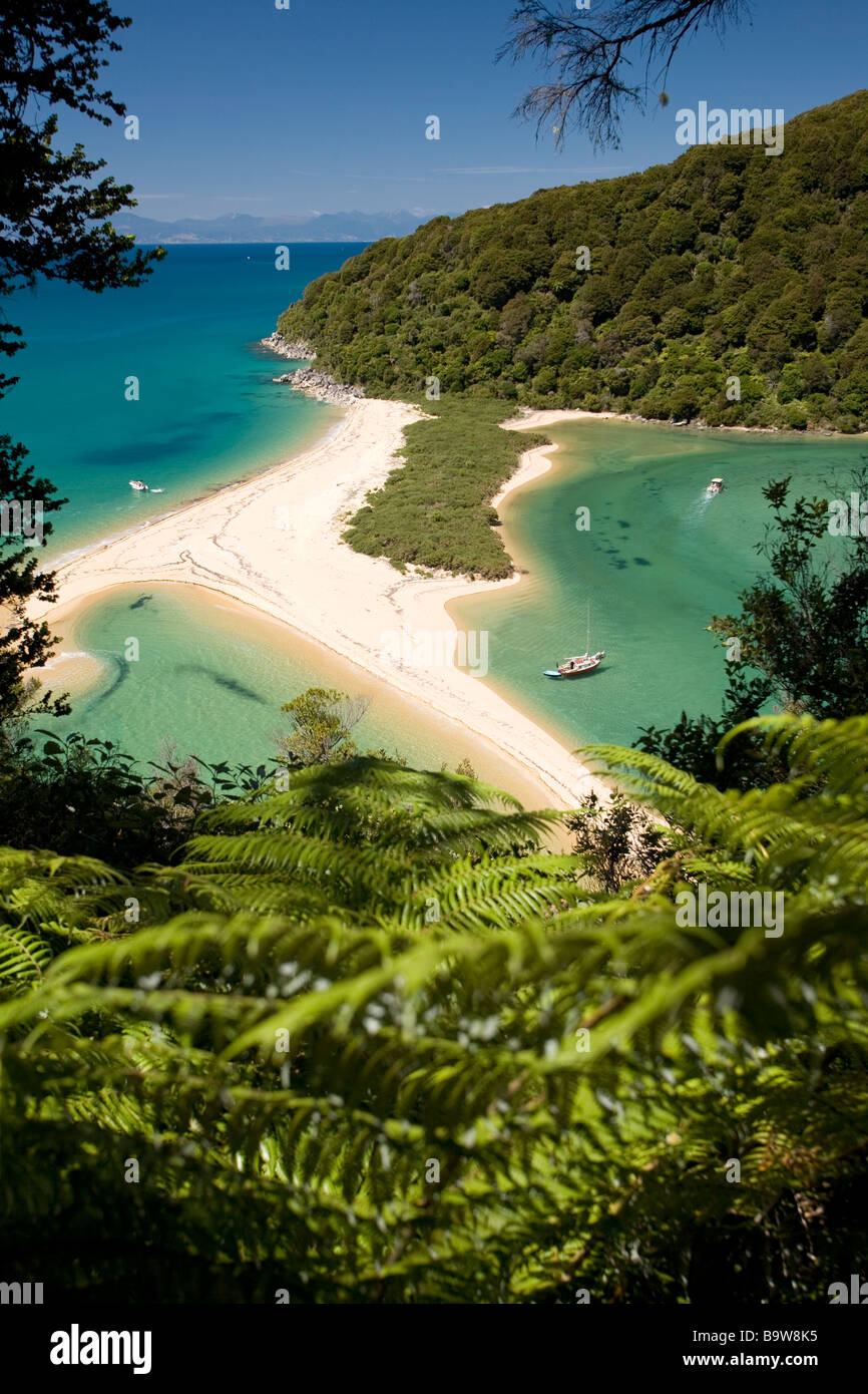 Abel Tasman National Park, New Zealand Stock Photo - Alamy
