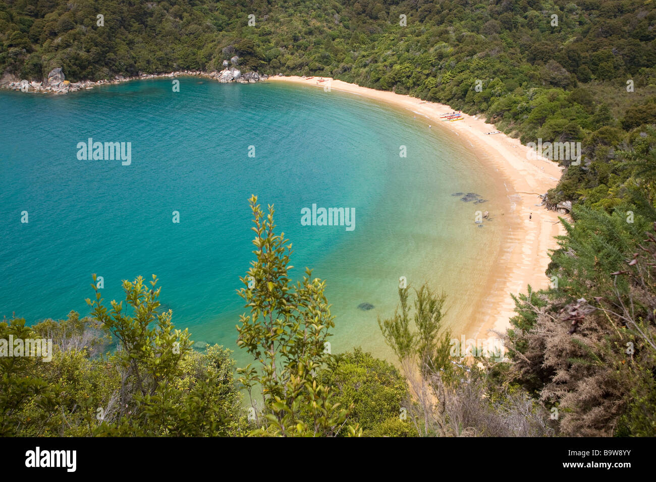 Abel Tasman national park, New Zealand Stock Photo - Alamy