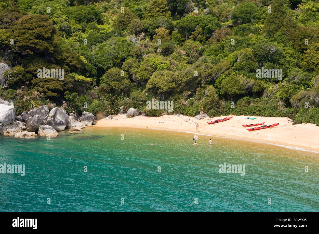 Abel Tasman National Park, New Zealand Stock Photo - Alamy