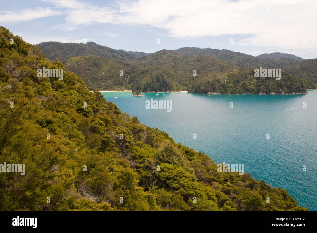 Abel Tasman national park, New Zealand Stock Photo - Alamy