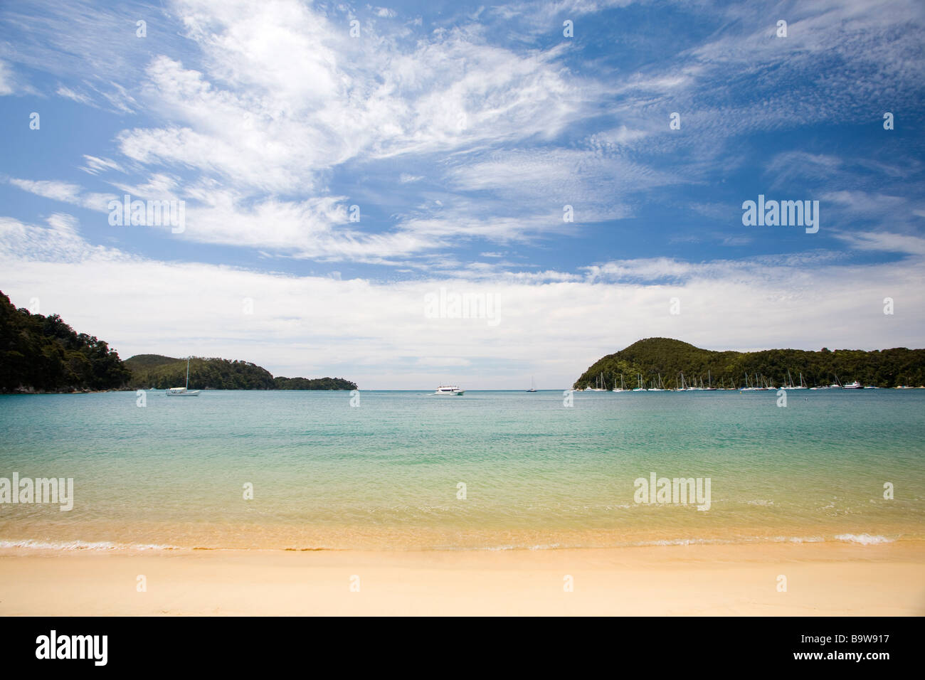 Abel Tasman national park, New Zealand Stock Photo - Alamy Abel Tasman national park, New Zealand Stock Photo - Alamy