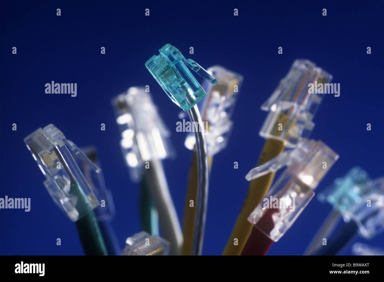 TELECOMMUNICATION COMPUTER CABLES ON PLAIN BLUE BACKGROUND Stock Photo ...