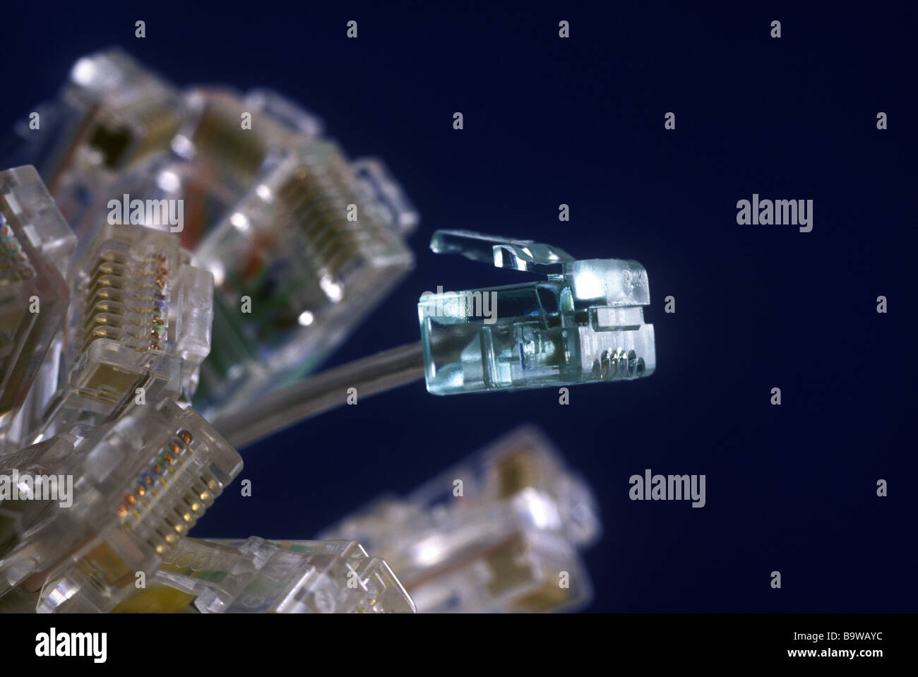 TELECOMMUNICATION COMPUTER CABLES ON PLAIN BLUE BACKGROUND Stock Photo ...