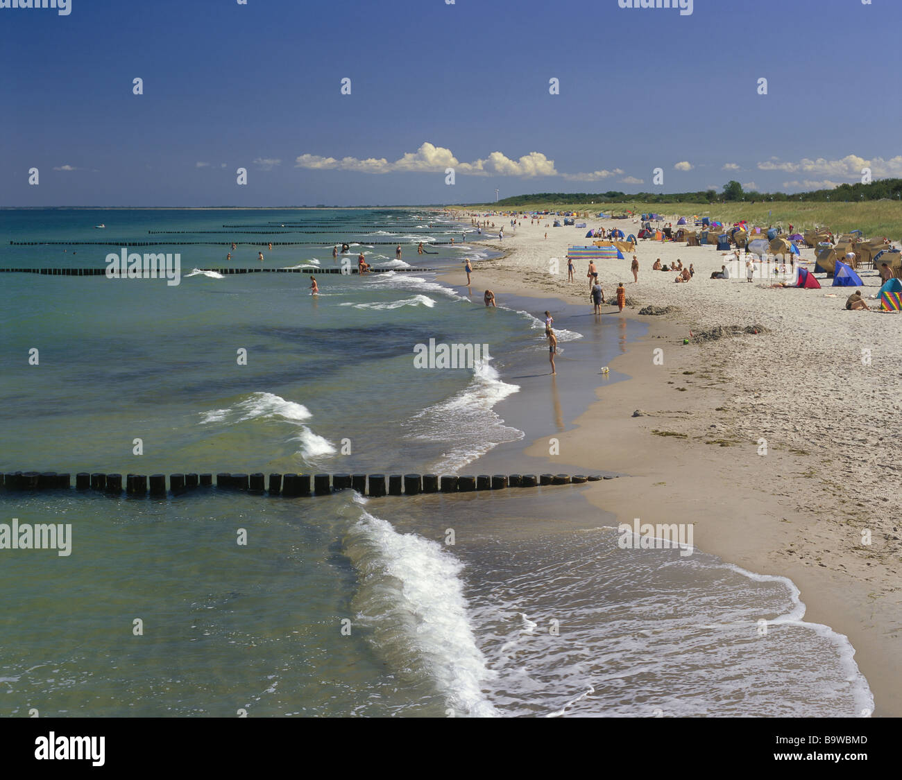 Müritz fish hi-res stock photography and images - Alamy