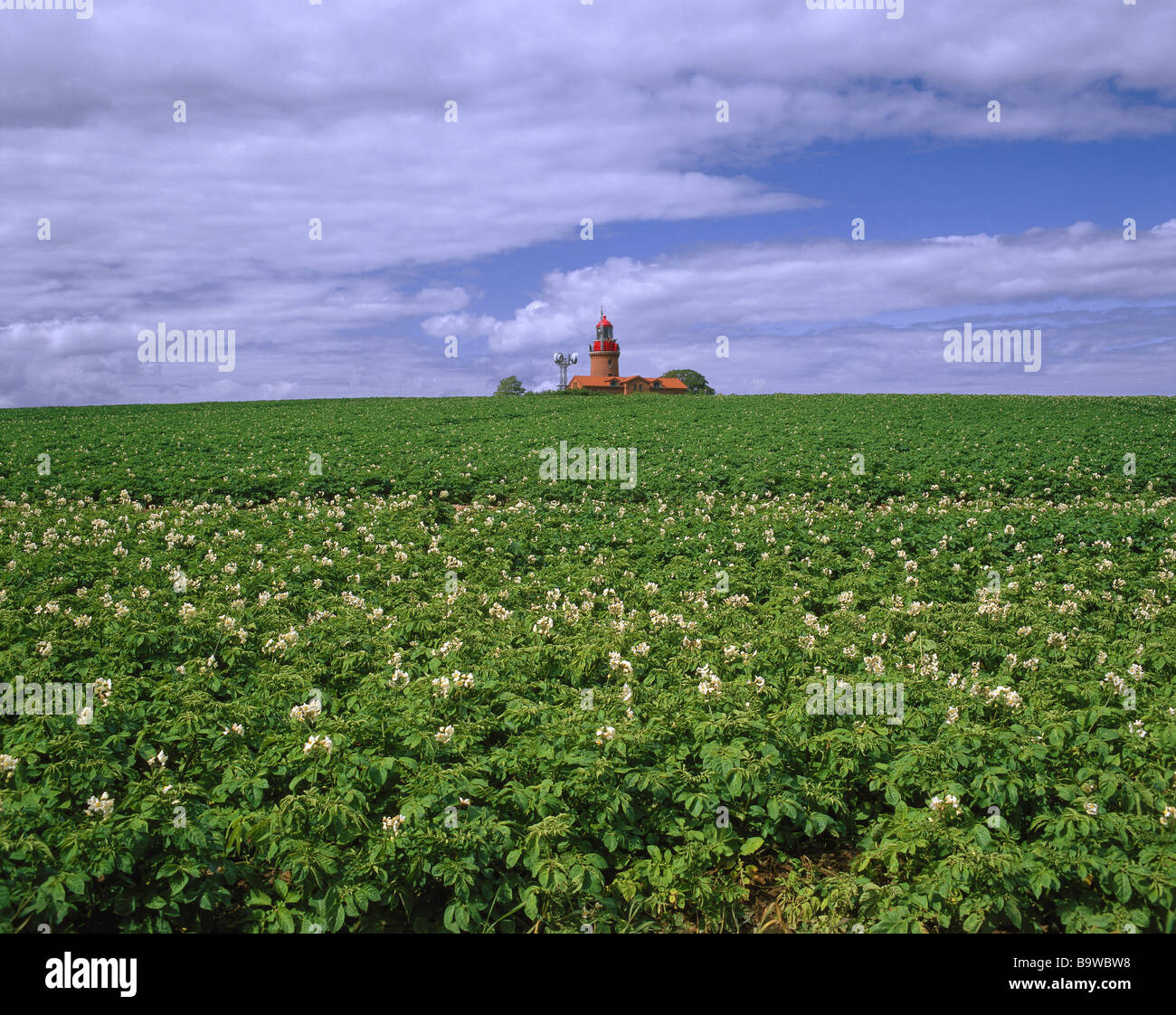Potato builds hi-res stock photography and images - Alamy