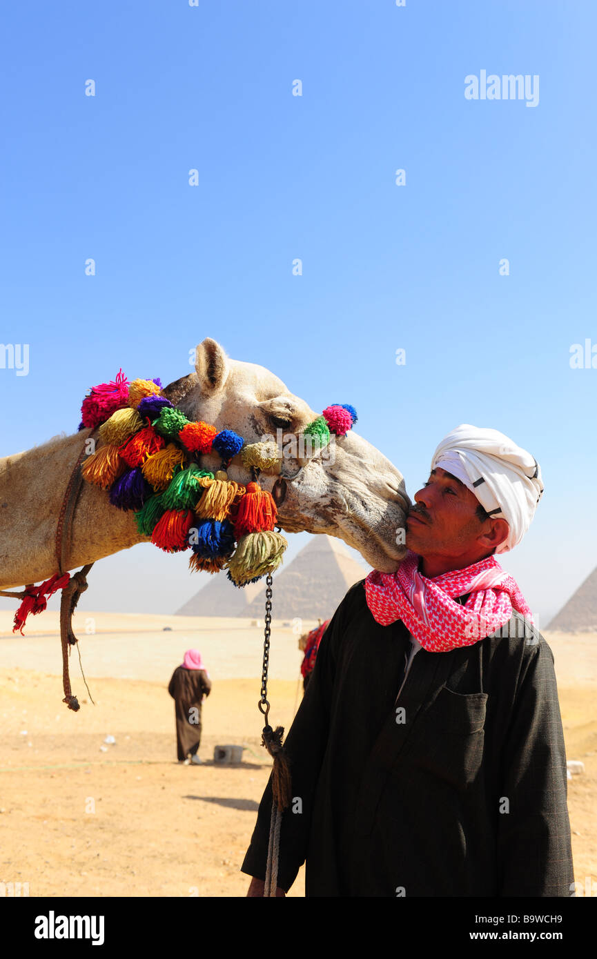 Egypt Giza The Great Pyramids camels Stock Photo - Alamy