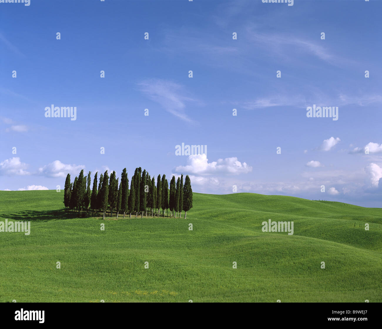 Orcia tal toskana hi-res stock photography and images - Alamy