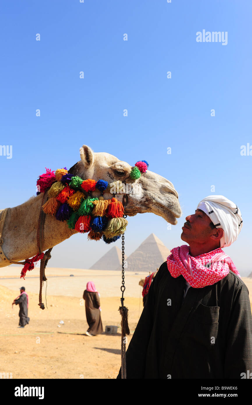 Egypt Giza The Great Pyramids camels Stock Photo - Alamy