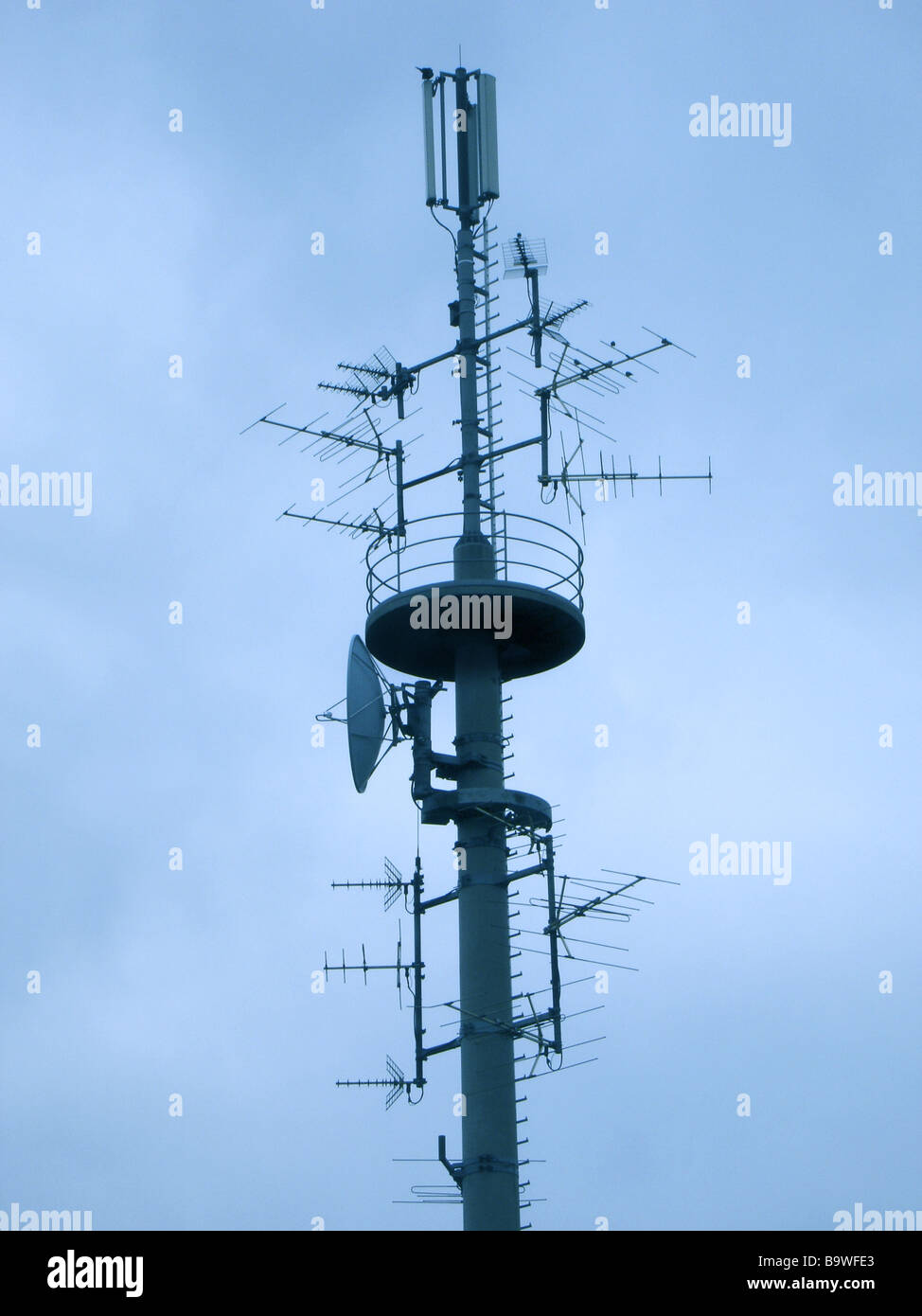 Hscsd hi-res stock photography and images - Alamy